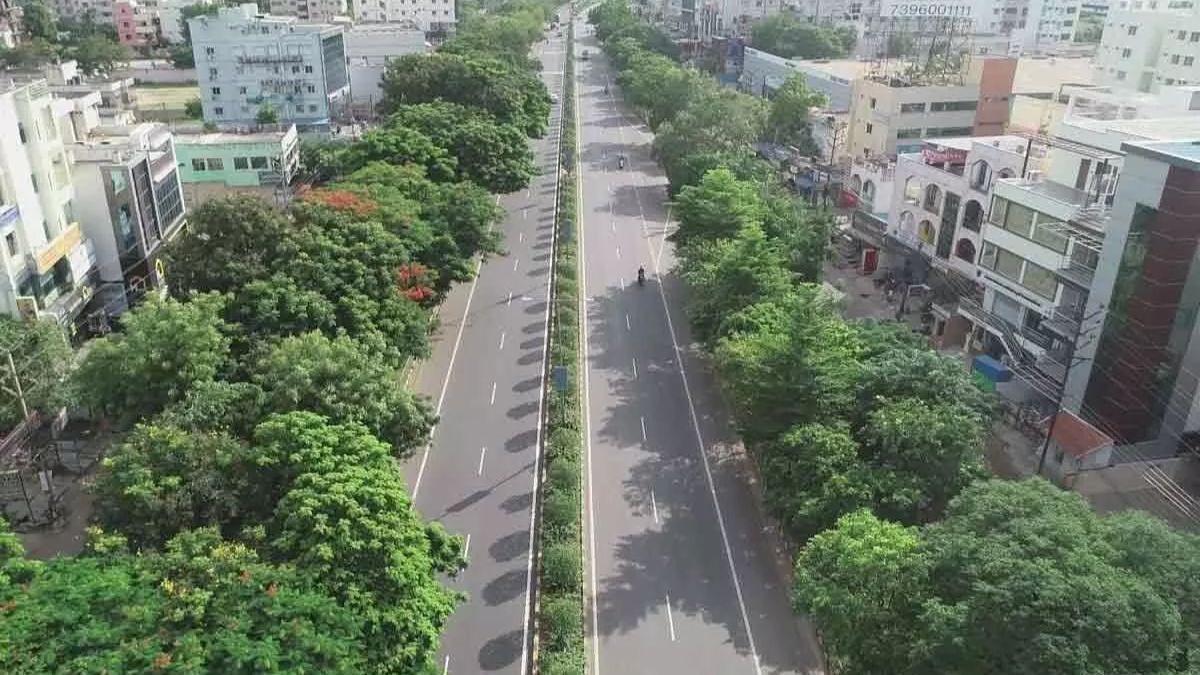 सड़क के डिवाइडर पर क्यों लगाए जाते हैं पौधे? जानिए वजह